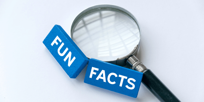 Fun Facts About Tampa, FL